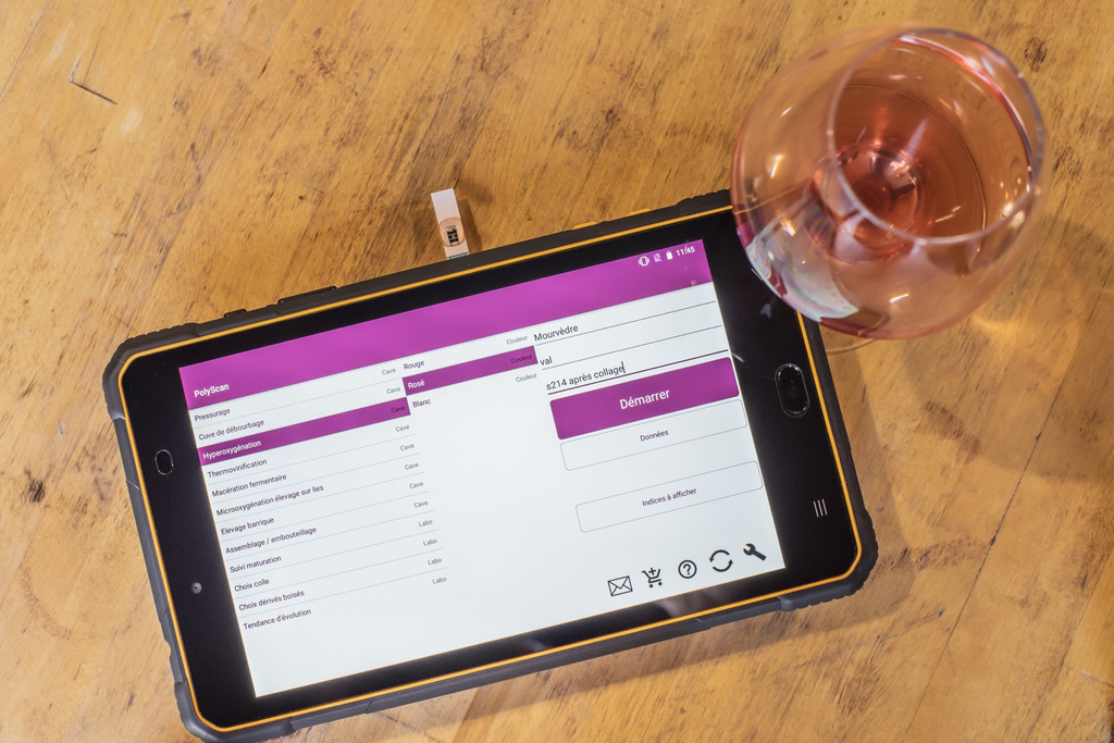 Optimized decisions from the grape maturity to the closure choice with ...