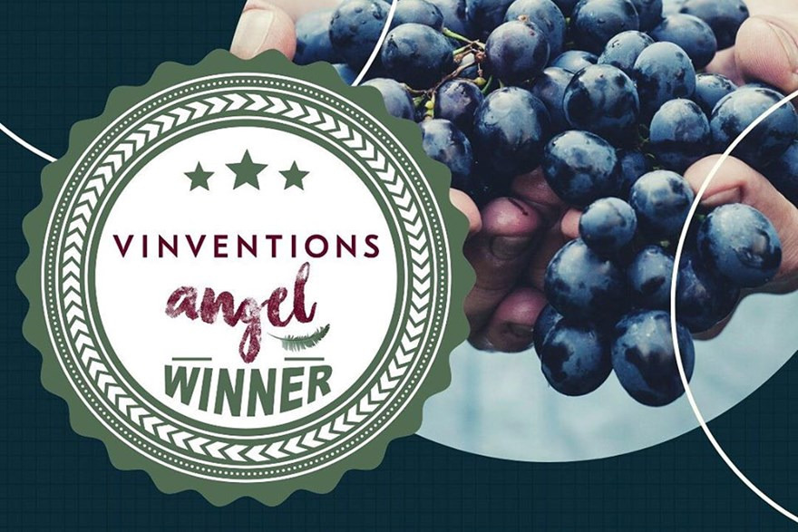 Vinventions impulsa a 6 enólogos sostenibles con el programa ...
