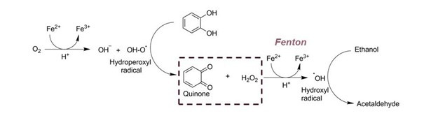 Oxidation, redox potential, wine oxidation: from theory to practice ...